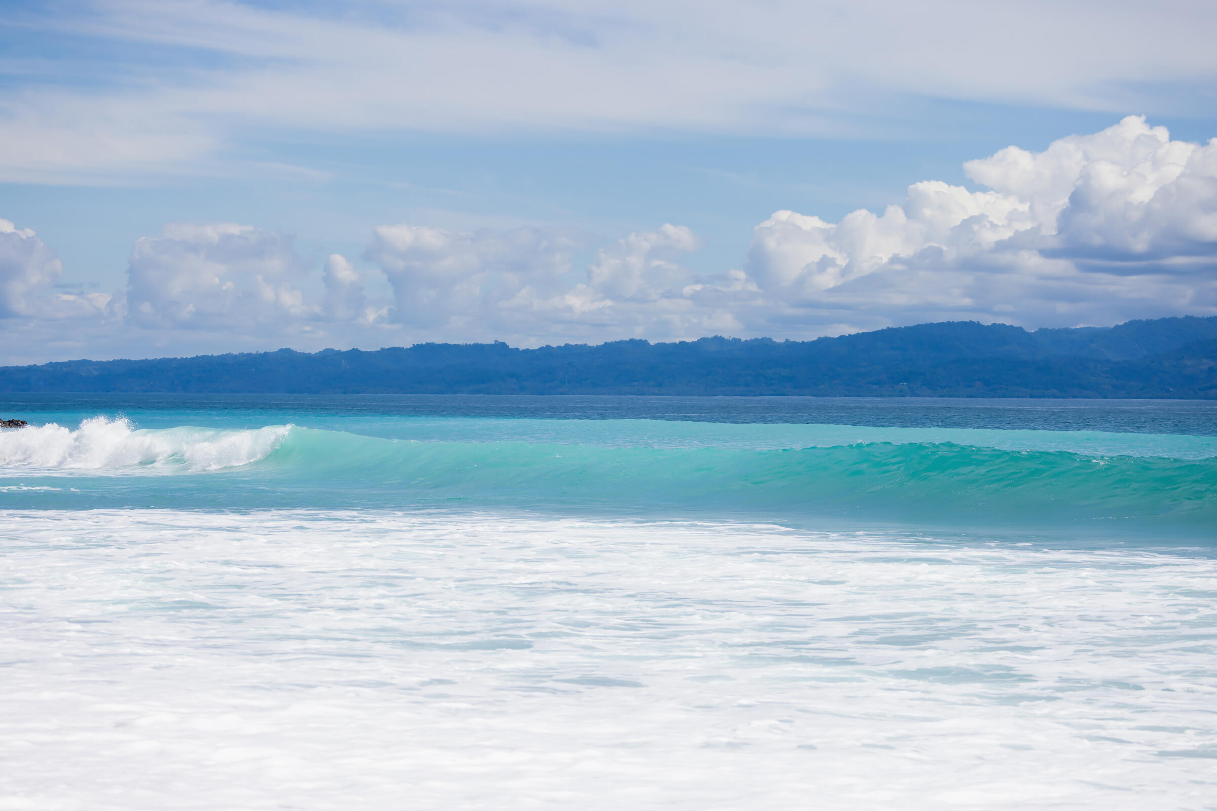 Osa Peninsula - Marjorie Melnick