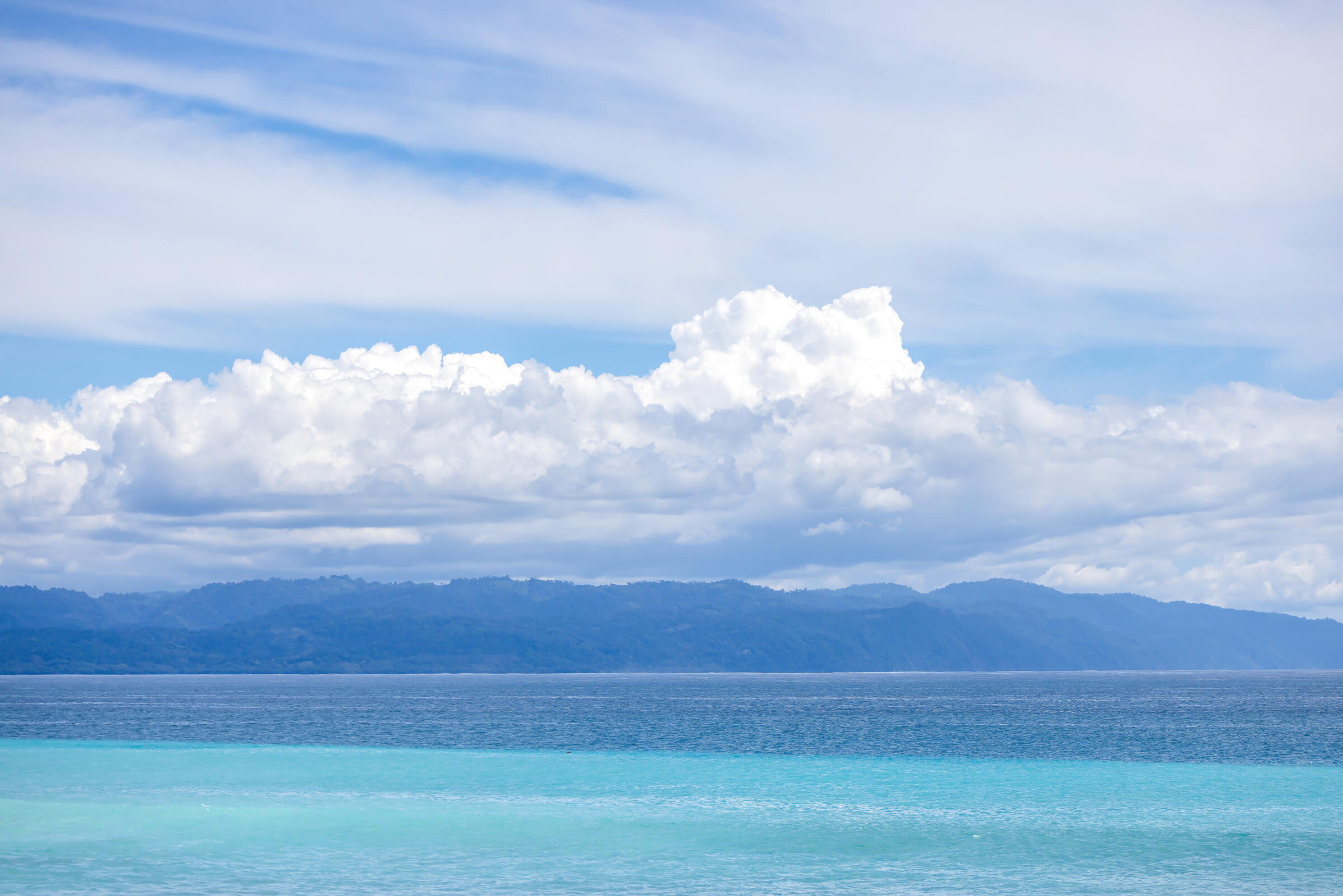 Osa Peninsula - Marjorie Melnick